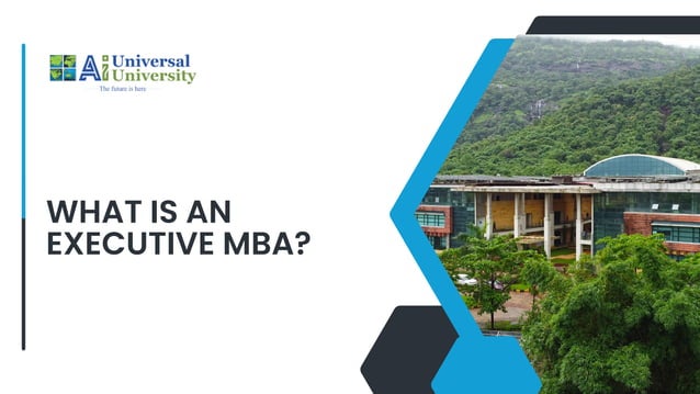 Executive MBA | AI-Powered Leadership at Universal AI University | PDF