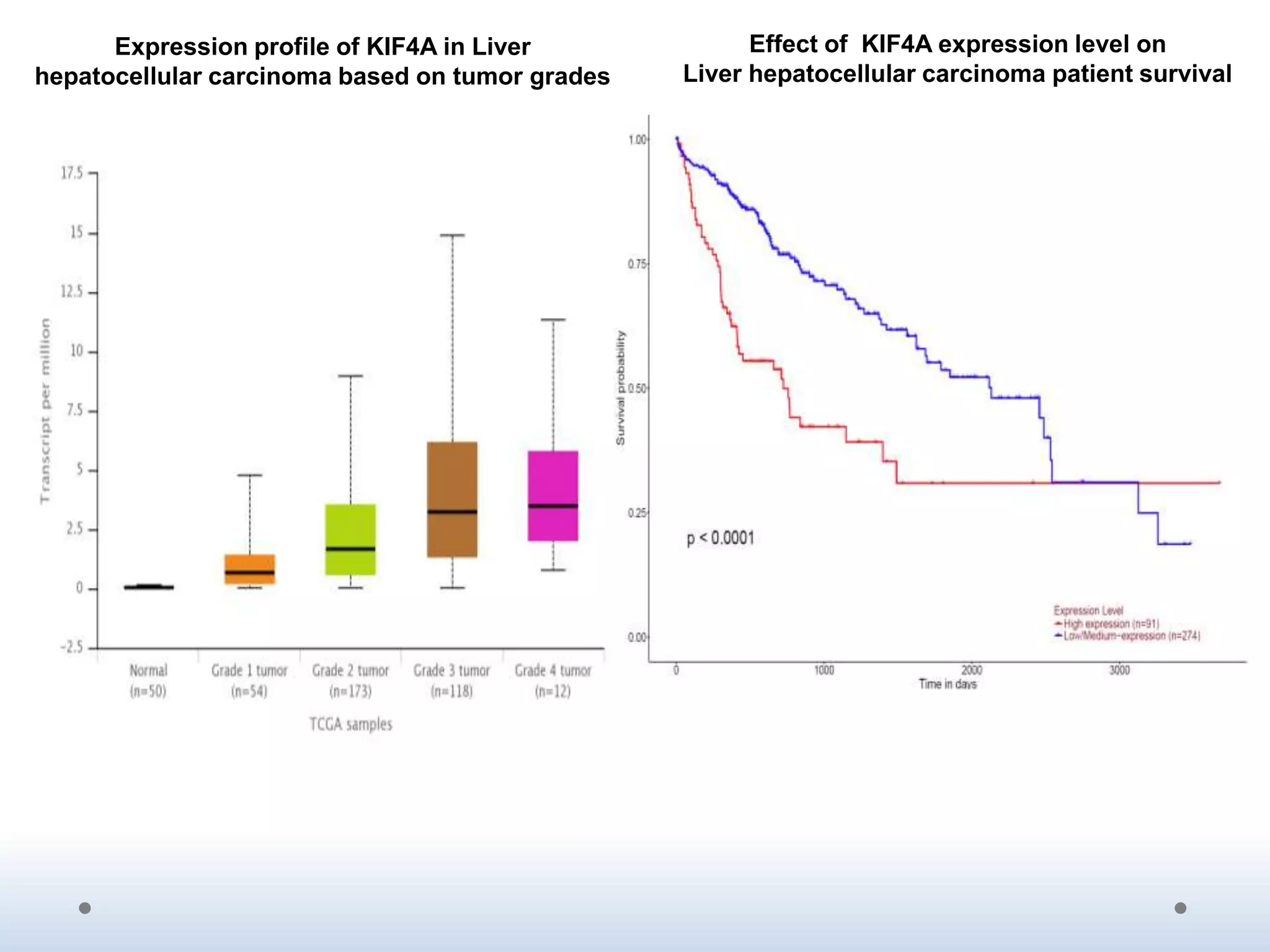 Ualcan- user friendly portal to analyse TCGA RNA-seq data | PPT