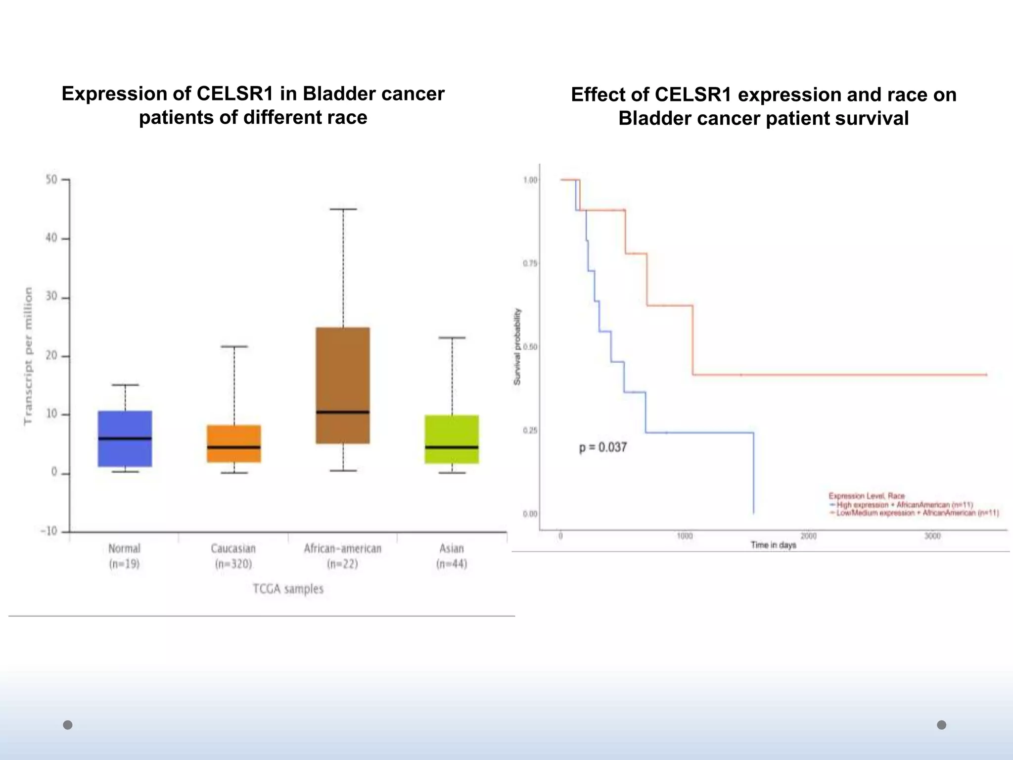 Ualcan- user friendly portal to analyse TCGA RNA-seq data | PPT