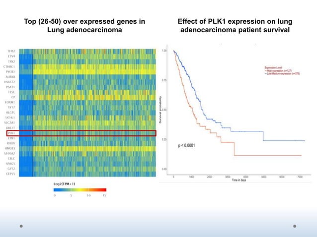 Ualcan- user friendly portal to analyse TCGA RNA-seq data | PPT