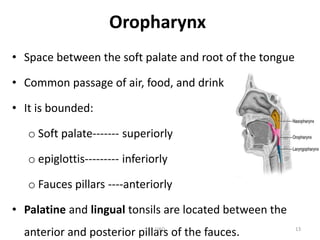 Upper airway obstruction.pptx