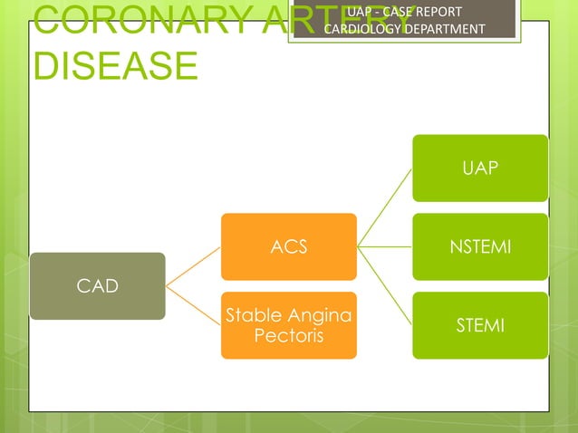 Unstable Angina Pectoris | PPTX | Heart and Cardiovascular Diseases | Diseases and Conditions