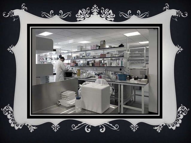 Undifferentiated Arthritis - Undifferentiated connective tissue disease ...