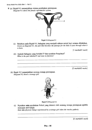 UASA SAINS T1_merged.pdf