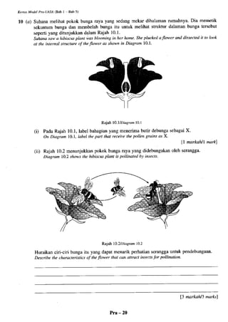UASA SAINS T1_merged.pdf