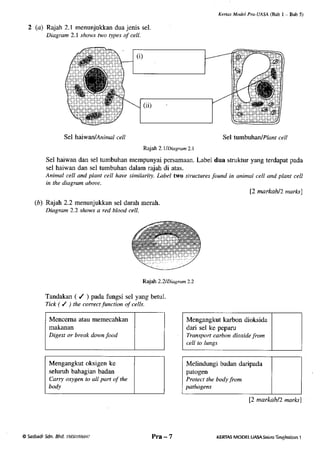 UASA SAINS T1_merged.pdf