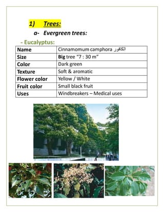 The green element in landscape | DOCX