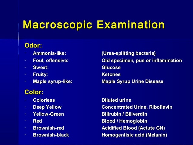 Ua urinalyisisreview
