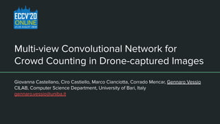 Crowd Counting from UAVs (ECCV2020) | PDF