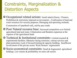 Union of Agricultural Work Committees (UAWC) presentation | PPT ...