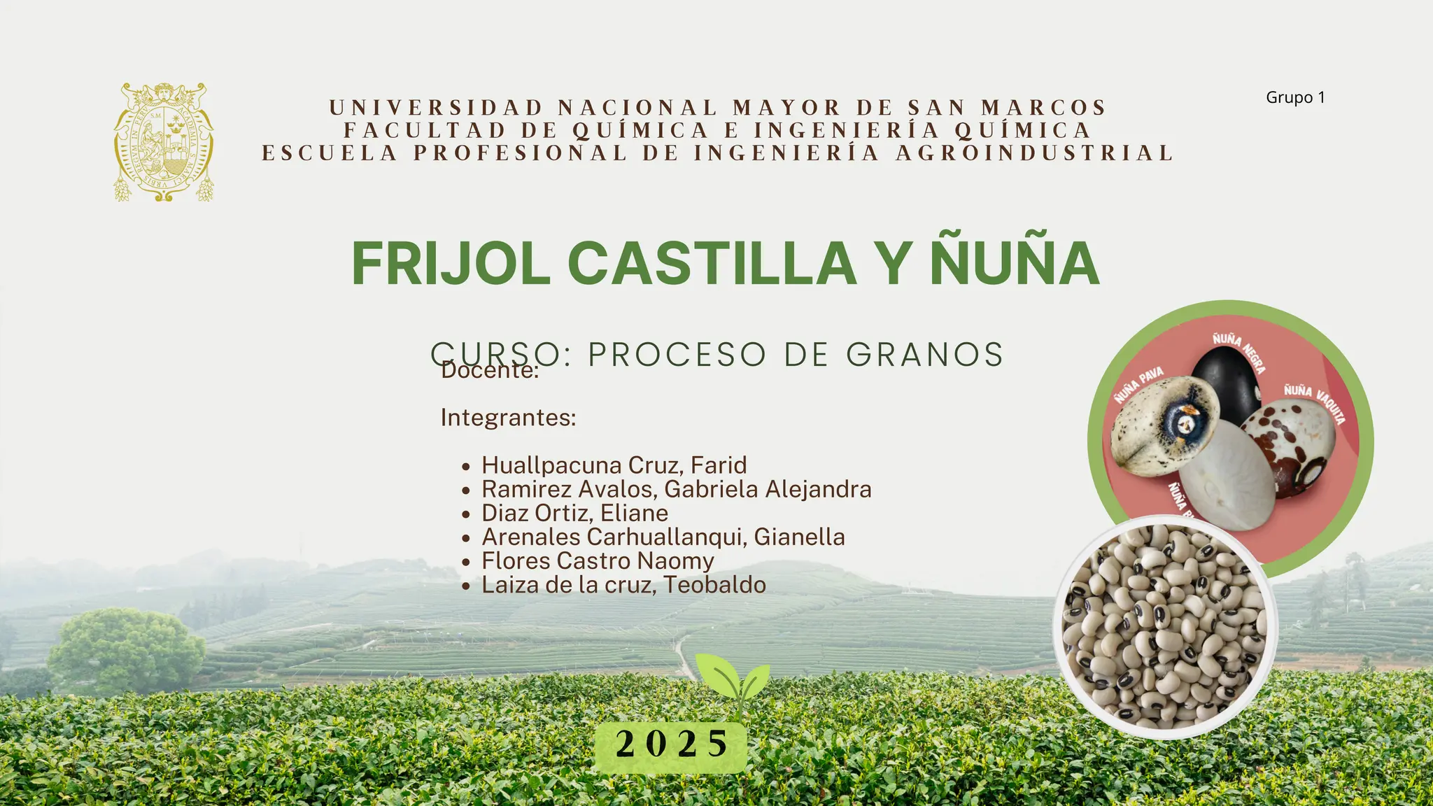 El frijol castilla (Vigna unguiculata) y la ñuña (Phaseolus vulgaris L ...
