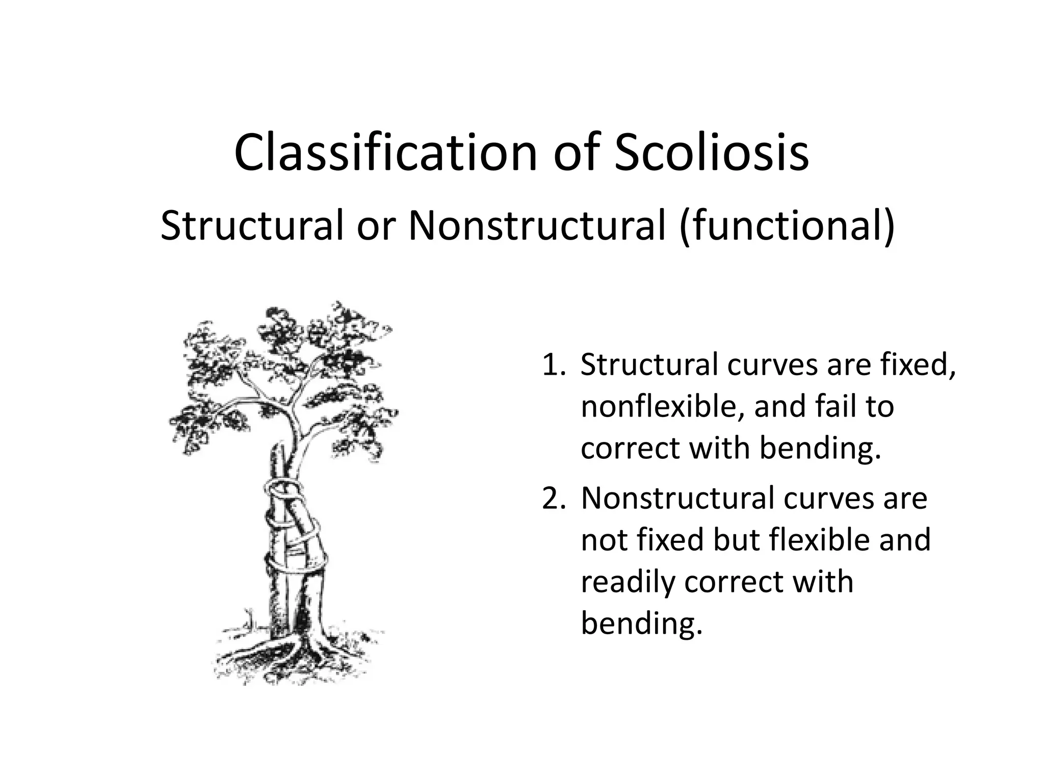 ub-hsped-scoliosis-differential-dx-functional-and-structural-scoliosis.pdf
