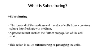 Ubaid afzal (10) | PPT