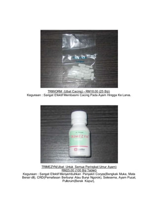 Ubat untuk penternak ayam kampung dll | DOCX