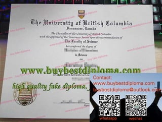 UBC diploma.pdf