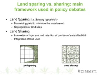 Land sharing vs sparing: views from an agronomist | PPT