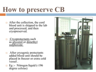 Ubc's | PPTX | Pregnancy | Reproductive Health