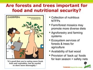 Forests, food security and sustainable development: What prospects? | PPTX