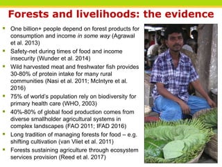 Forests, food security and sustainable development: What prospects? | PPTX