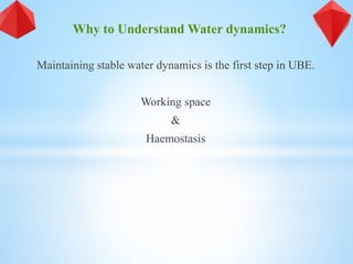 Water dynamic of UBE Unilateral Biportal Endoscopy.pptx