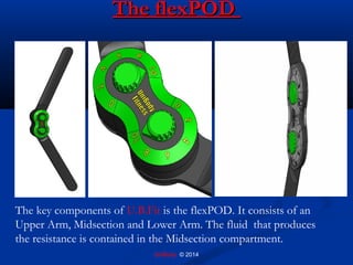 UniBody Fitness System | PPT