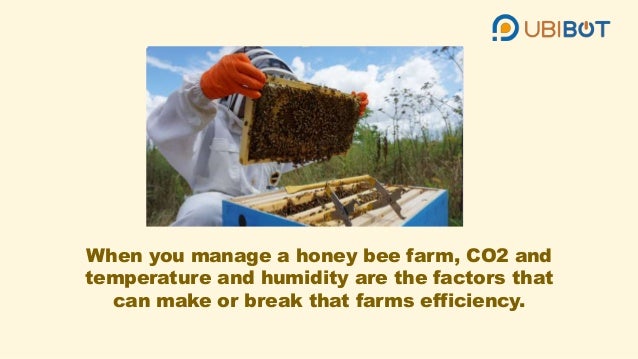 Know The Way to Manage Your Honey Bee Farm With UbiBot External CO2 ...