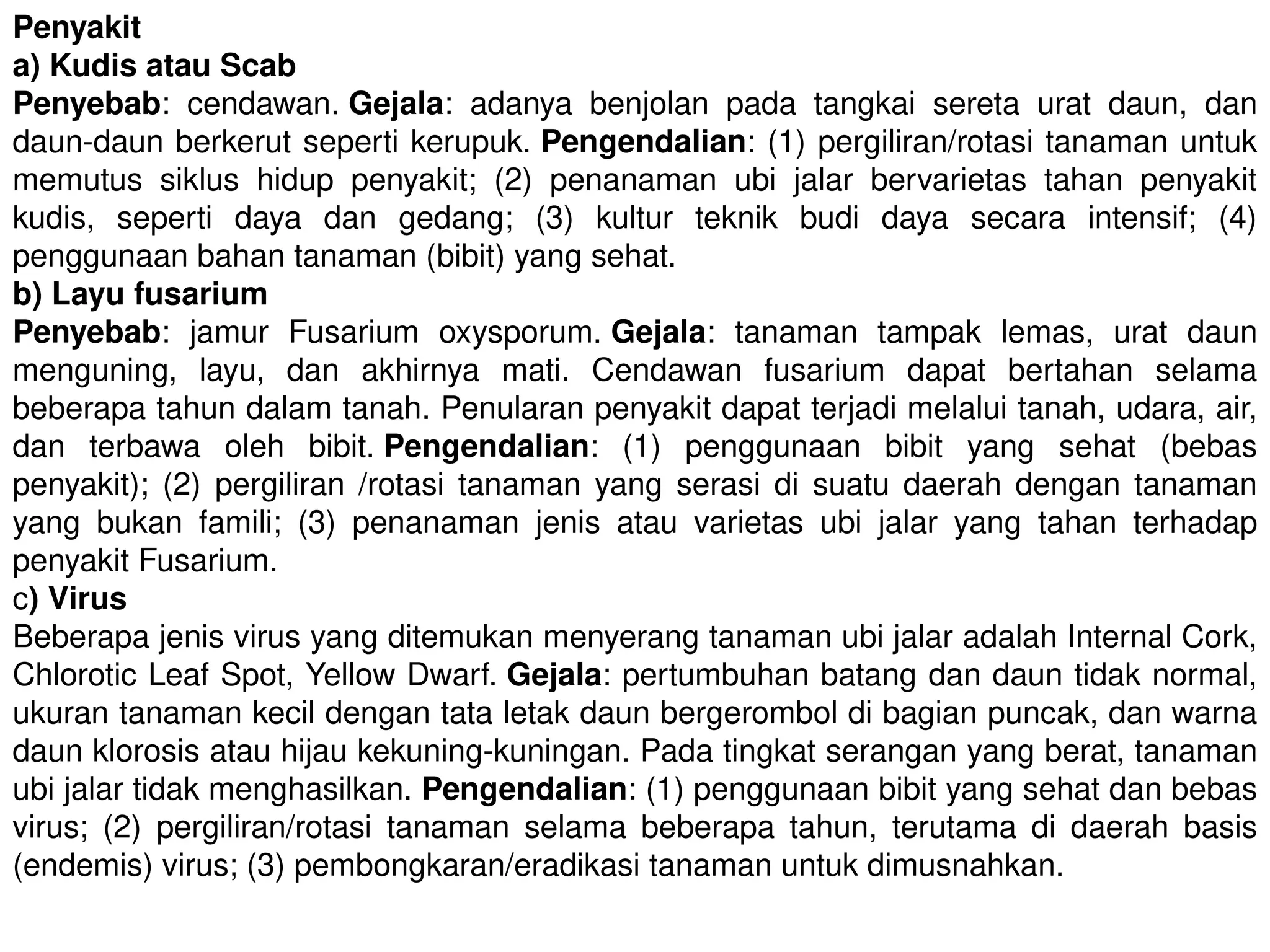budidaya ubi Jalar dan peluang usaha .pptx