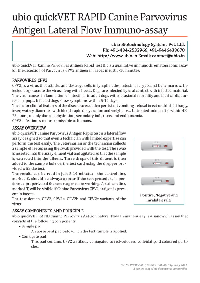 Canine Parvovirus Rapid Test | PDF | Infectious Diseases | Diseases and ...
