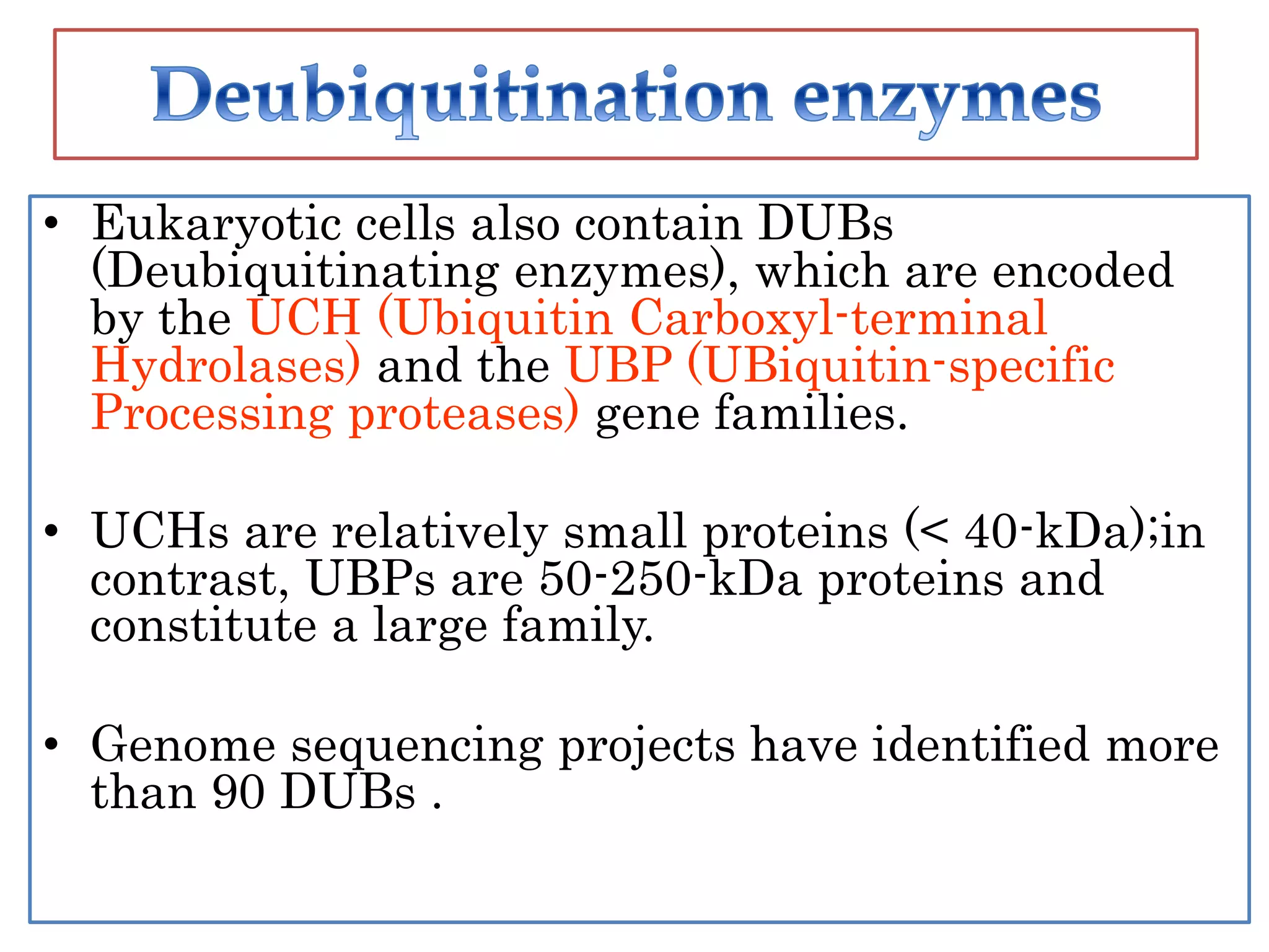 Ubiquitin mediated proteolysis | PPTX
