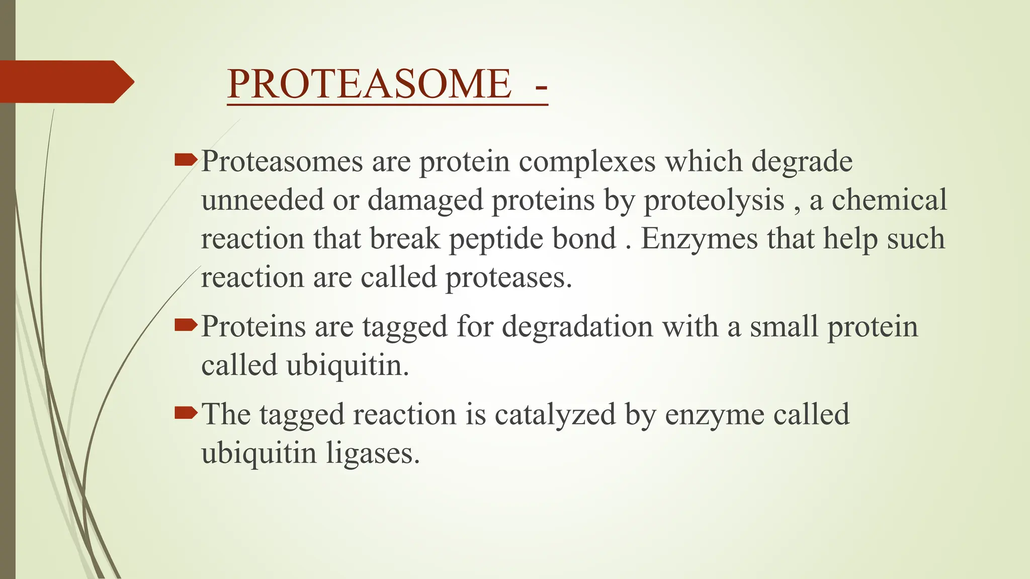 Ubiquitin proteasome protein degradationpathway.pptx