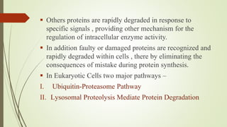 Ubiquitin proteasome protein degradationpathway.pptx