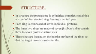 Ubiquitin proteasome protein degradationpathway.pptx