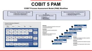 IT Governance - COBIT 5 Capability Assessment | PDF