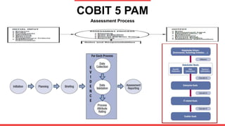 IT Governance - COBIT 5 Capability Assessment | PDF