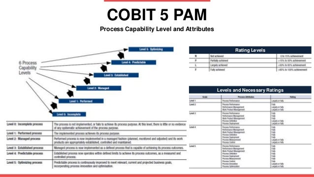 It Governance Cobit 5 Capability Assessment