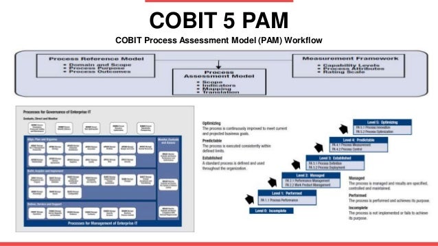 It Governance Cobit 5 Maturity Assessment