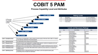 IT Governance - Capability Assessment using COBIT 5 | PDF