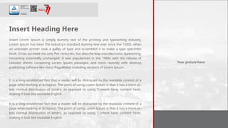 Comprehensive Overview of Lorem Ipsum and Its Historical Significance ...