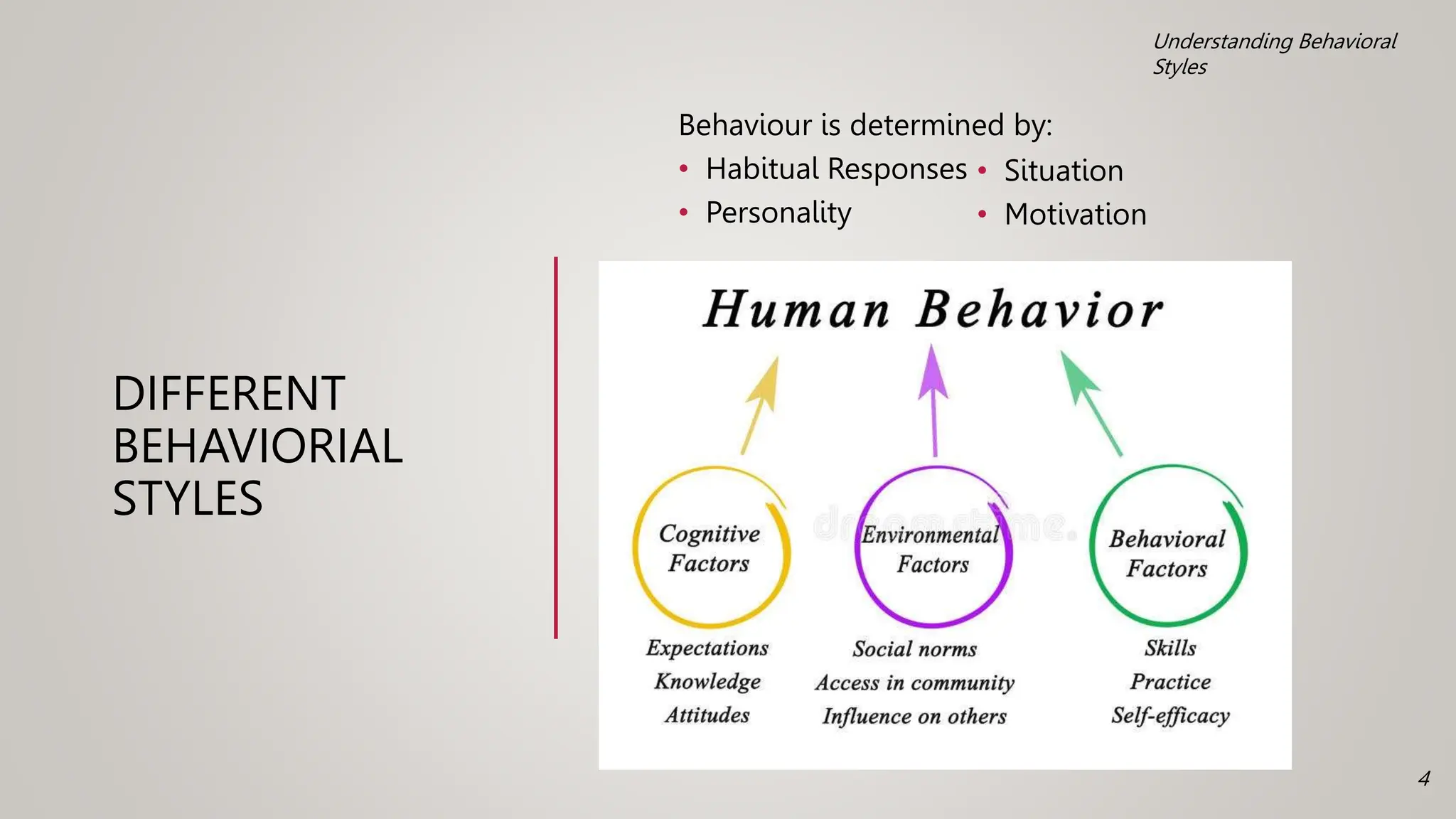 UBS - Understanding Behavioral Styles 2.pptx