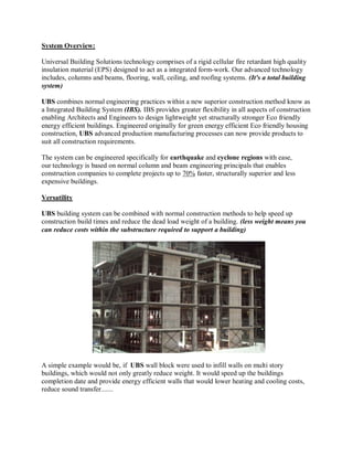 Ubs business details pdf | PDF