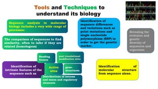 Genomics and proteomics Sequence Alignment ppt 26 4 24.pptx