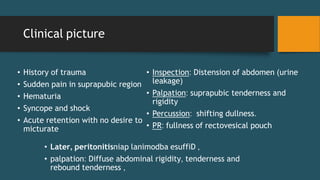 Urinary bladder trauma.pptx