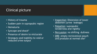 Urinary bladder trauma.pptx