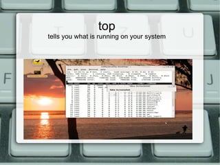 Ubuntu Terminal | ODP