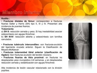 Fracturas_Fisiarias.pptx