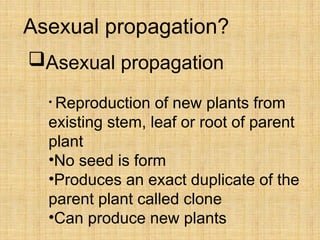AGRICULTURAL CROP PRODUCTIONUC 1_TYPES OF PLANT PRODUCTION.pptx