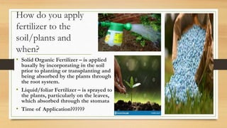 UC3-ORGANIC FERTILIZER.pptx