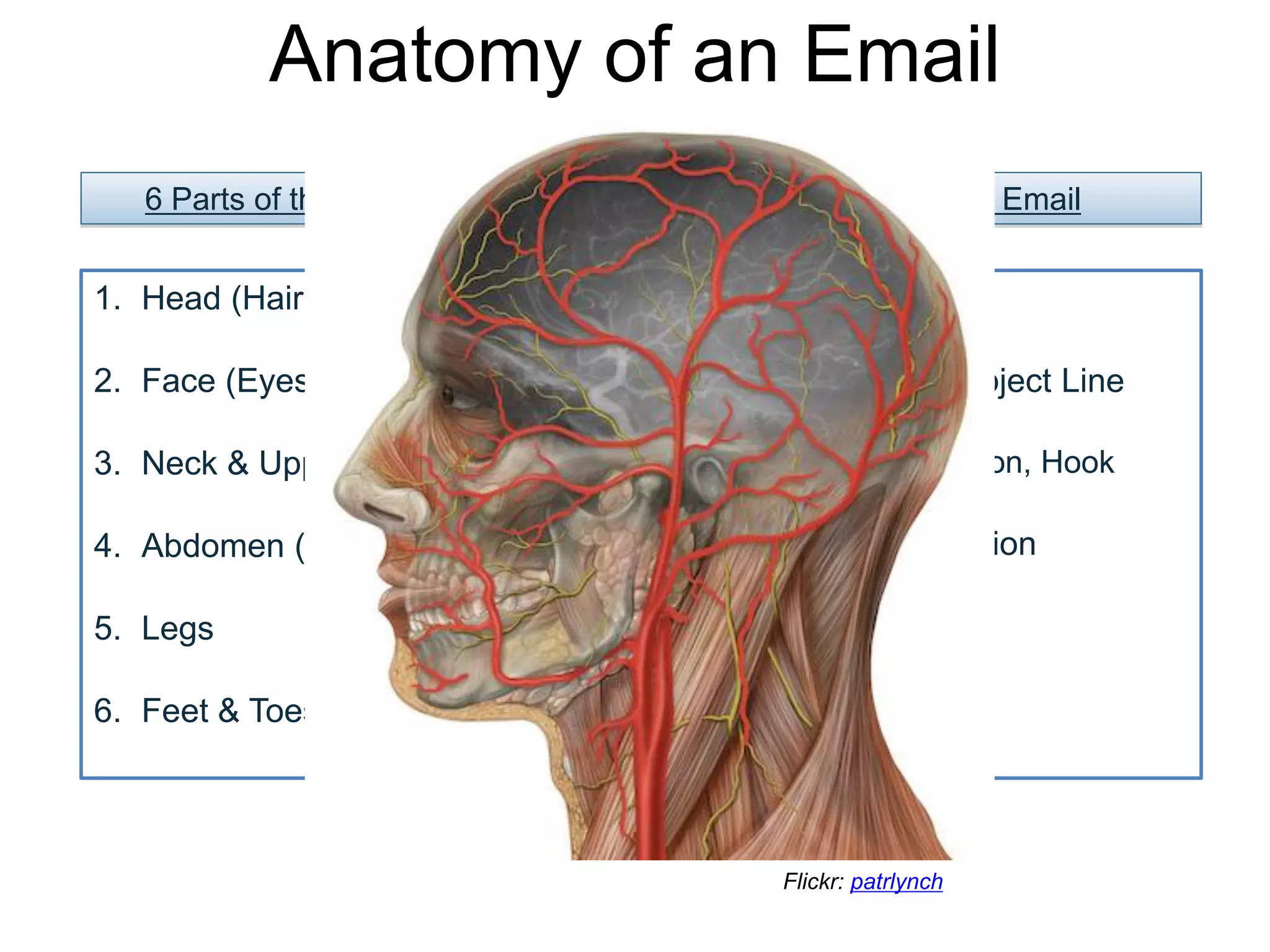 The Anatomy of an Email & Improving Conversions | PDF