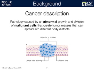 Automating Lung Cancer Identification in PET/CT Imaging | PDF