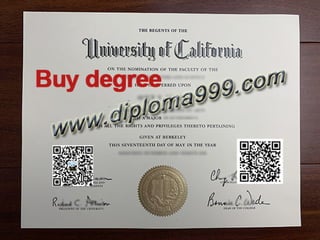 UC Berkeley degree | PPT